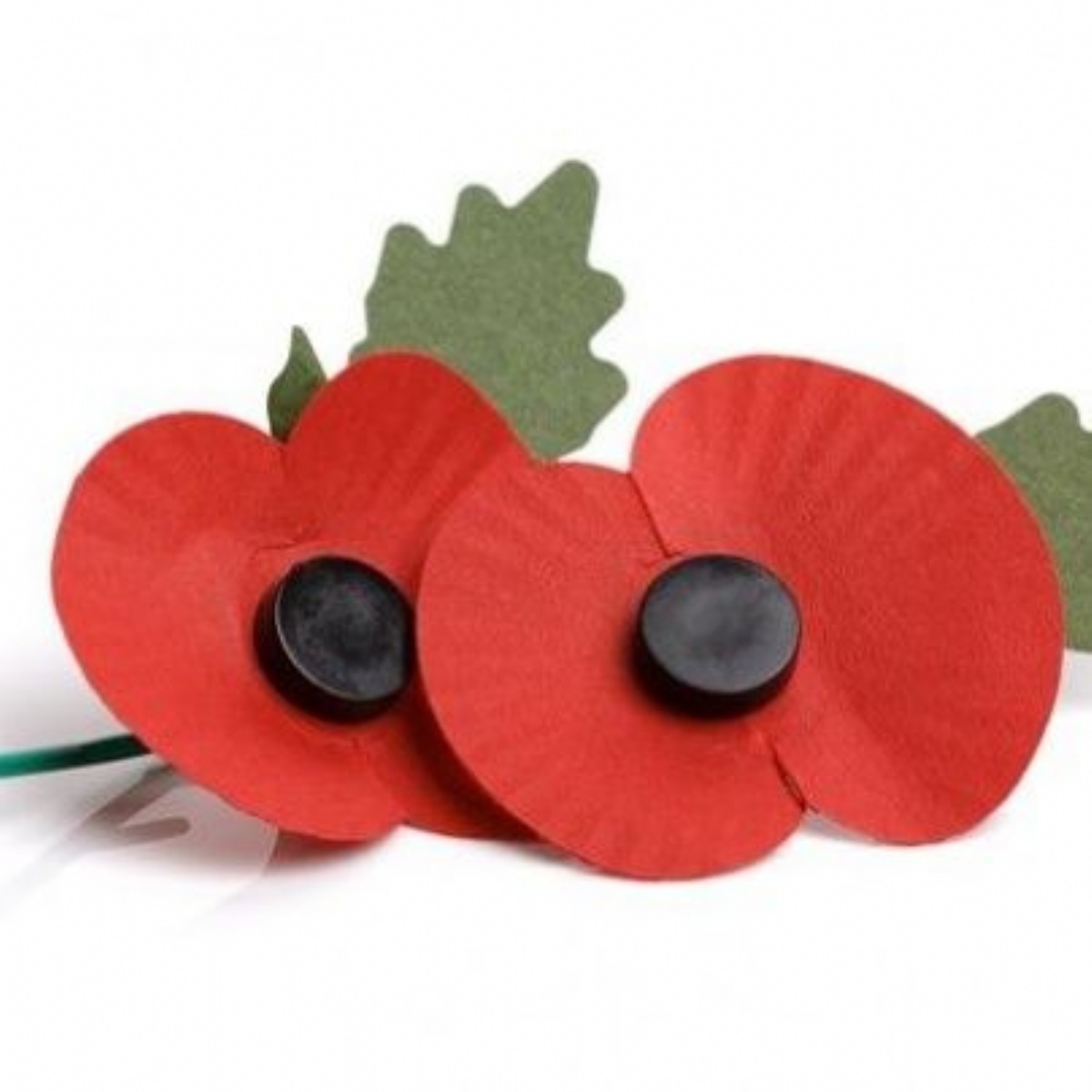 Danesholme Infant Academy - Royal British Legion - Poppy Appeal